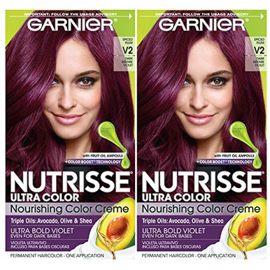 Garnier Nutrisse Ultra Color Nourishing Permanent Hair Color Cream V2 ...