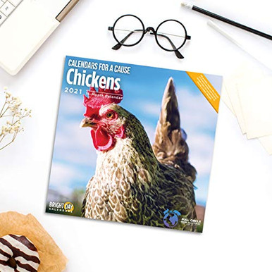 2021 Chickens Wall Calendar by Bright Day 12 x 12 Inch Farm Animals ...