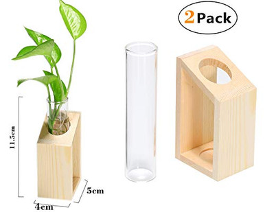 FuQiBasics 2 Pack Crystal Glass Test Tube Plant Terrarium Vase Flower ...