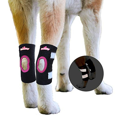 NeoAlly Cat Small Dog Rear Leg Hock Brace Canine Ankle Support with ...