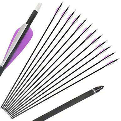 IRQ Archery 32Inch Carbon Arrow Practice Hunting Arrows with Removable ...