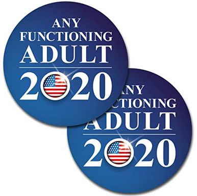 2 Pack! Any Functioning Adult 2020 Funny Bumper Sticker 4 Round Car ...