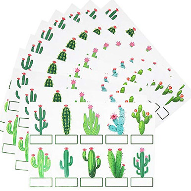 190 Pieces Cactus Cutouts Name Tags Stickers Classroom Labels for ...