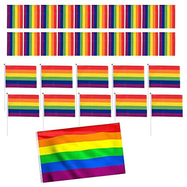 Squadare 31 Pcs Rainbow Flags Set - 1 Pcs Large Garden Rainbow Flag ...