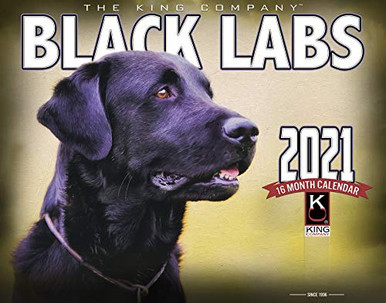 2021 Black Lab Dogs Wall Calendar Single Unit 16-Month X-Large Size ...