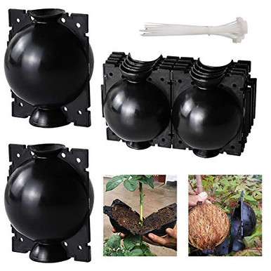 Root Growing Box Plant Propagation Rooting Ball 7 Pack Assisted Cutting ...