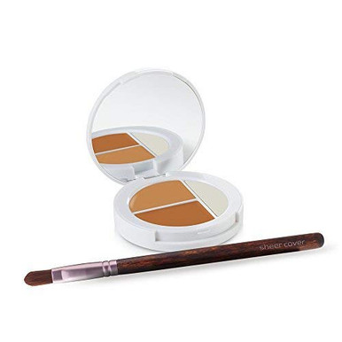 Sheer Cover Studio Conceal and Brighten Highlight Trio Two-Toned ...