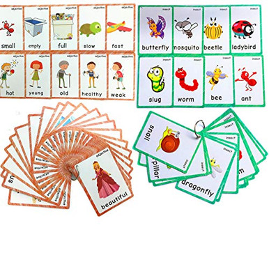 Set of Adjective Antonym and Insect Flash Cards for Toddlers Kids ...