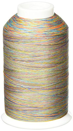 YLI 24430V91 3-Ply Machine Cotton Quilting Variegated Thread 3000 yd ...