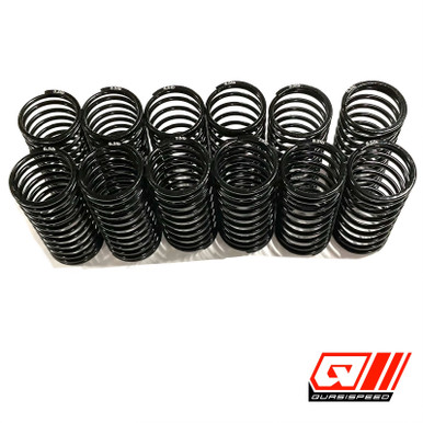 Big Bore Low Frequency Spring Kit