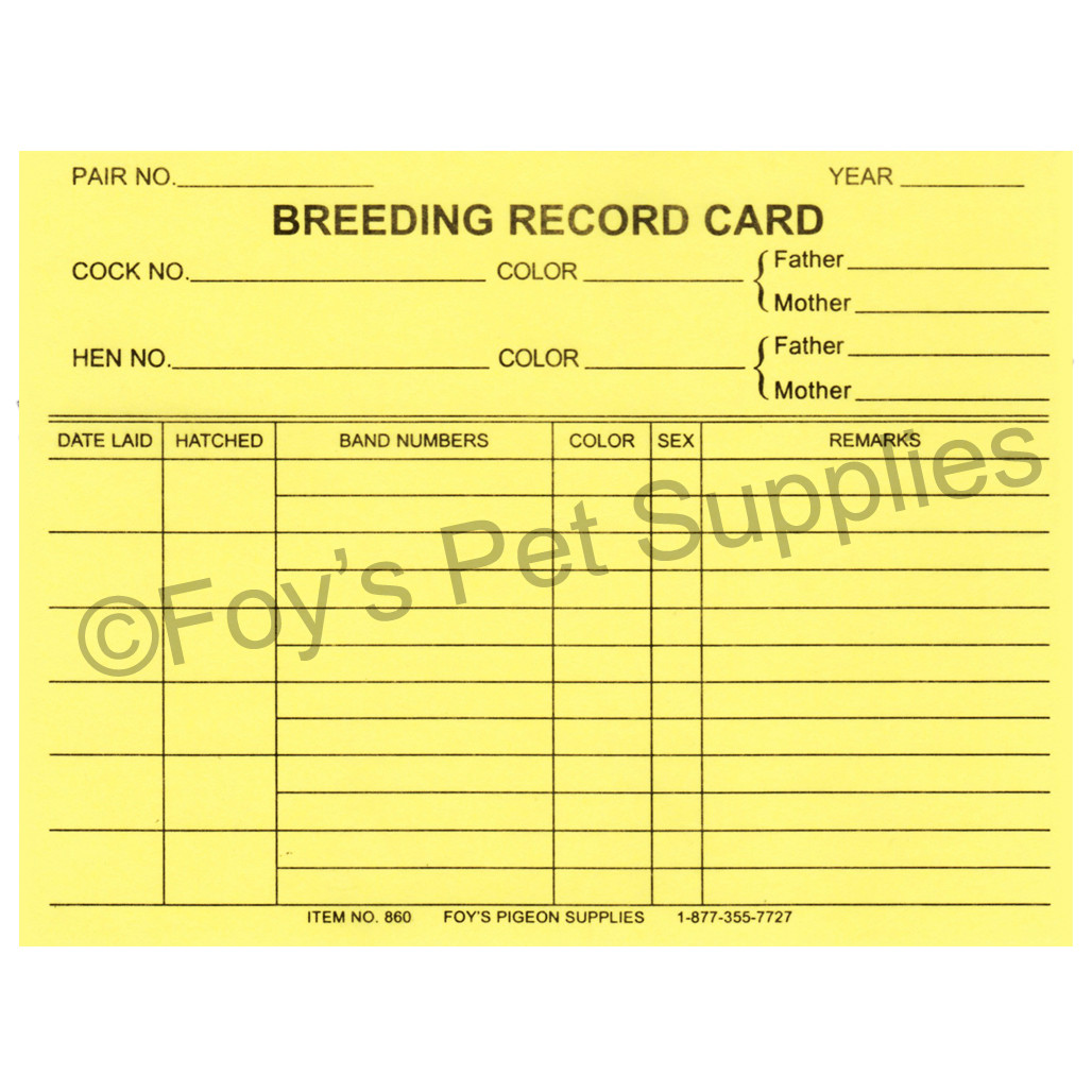 BREEDING RECORD CARDS 25 PACK