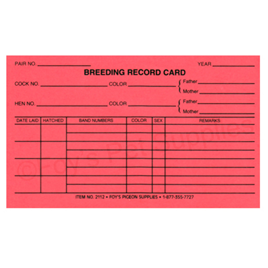 Small Breeding Record Cards 25 Pack