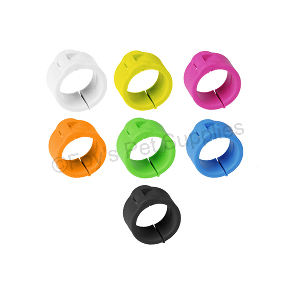 Poultry - Bands - Page 1 - Foy's Pet Supplies