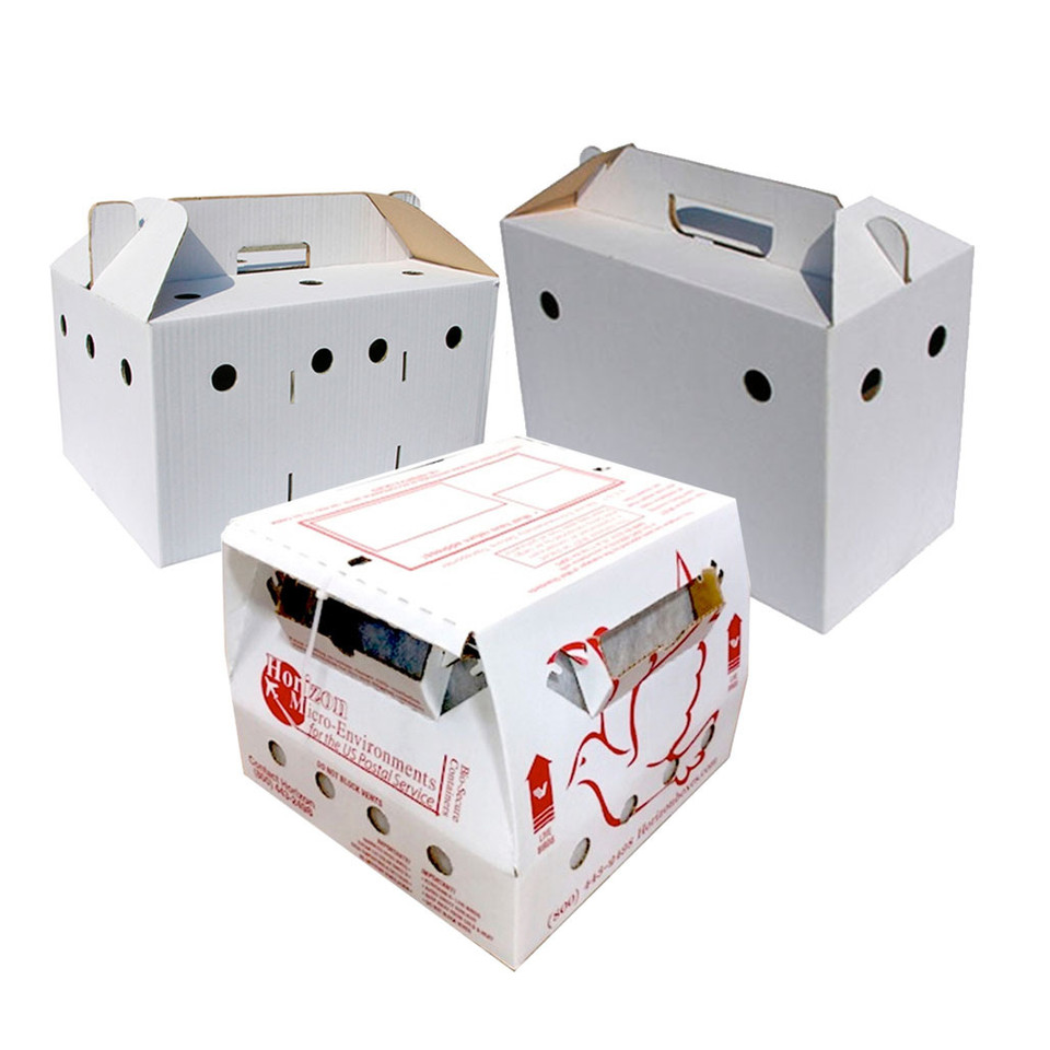 Pigeon - Shipping & Transport Boxes - Foy's Pet Supplies