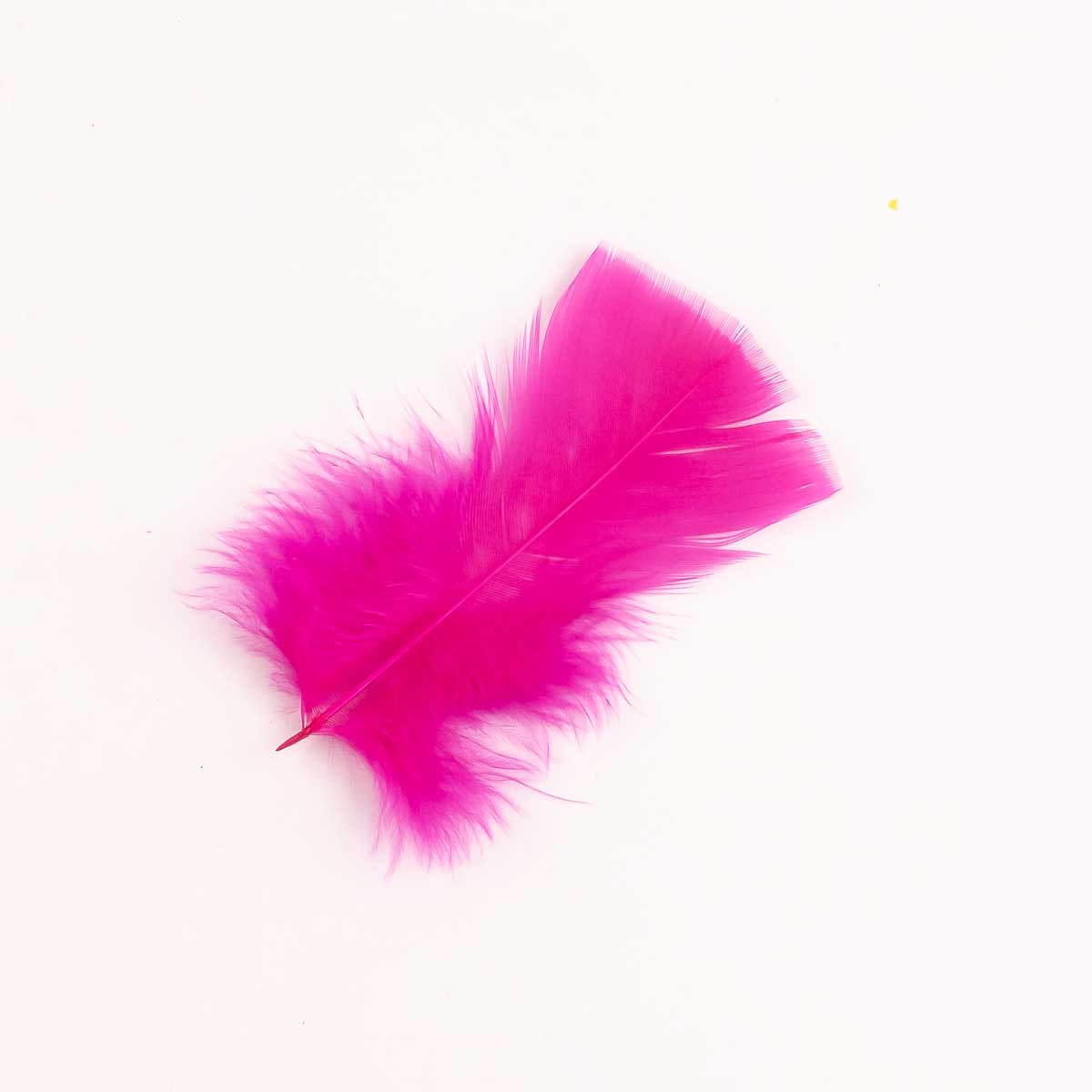 Pluma de pavo bolsa con cenefa