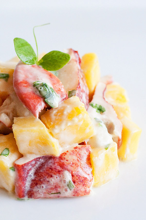 AVOCADO LOBSTER SALAD - (Free Recipe below)