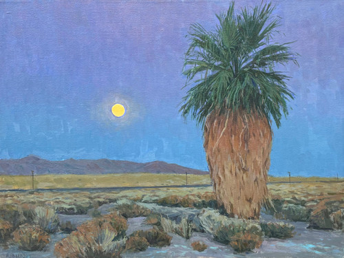 Salton Sea Nocturne | Skidmore Contemporary Art | Palm Desert