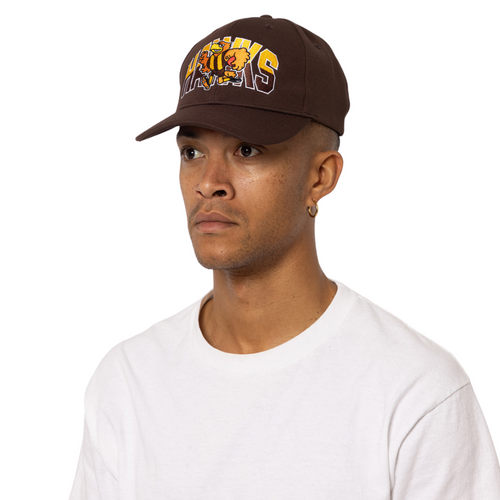 Hawthorn Retro Mascot Cap - MCG Shop