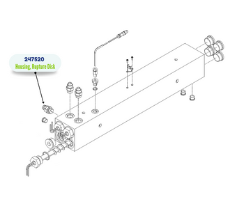 Graco Burst Disc Kit (247520)