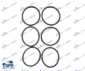 Graco Bulk Fld Hsg Sm Oring Kit (248138)