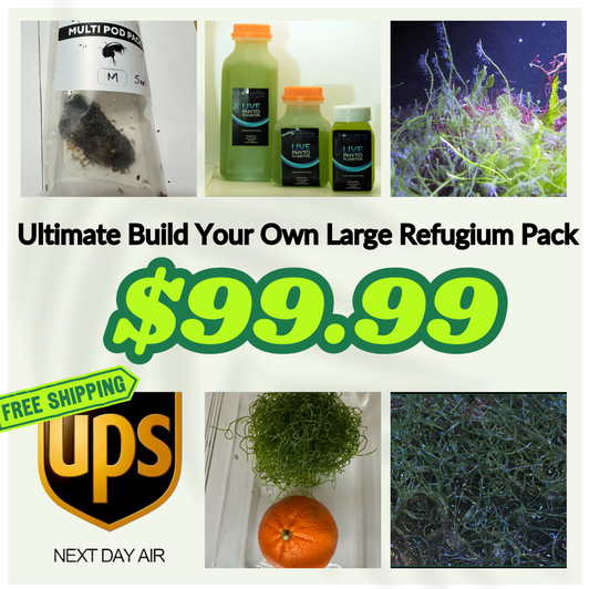 Live Pods: Saltwater Aquarium Super Food