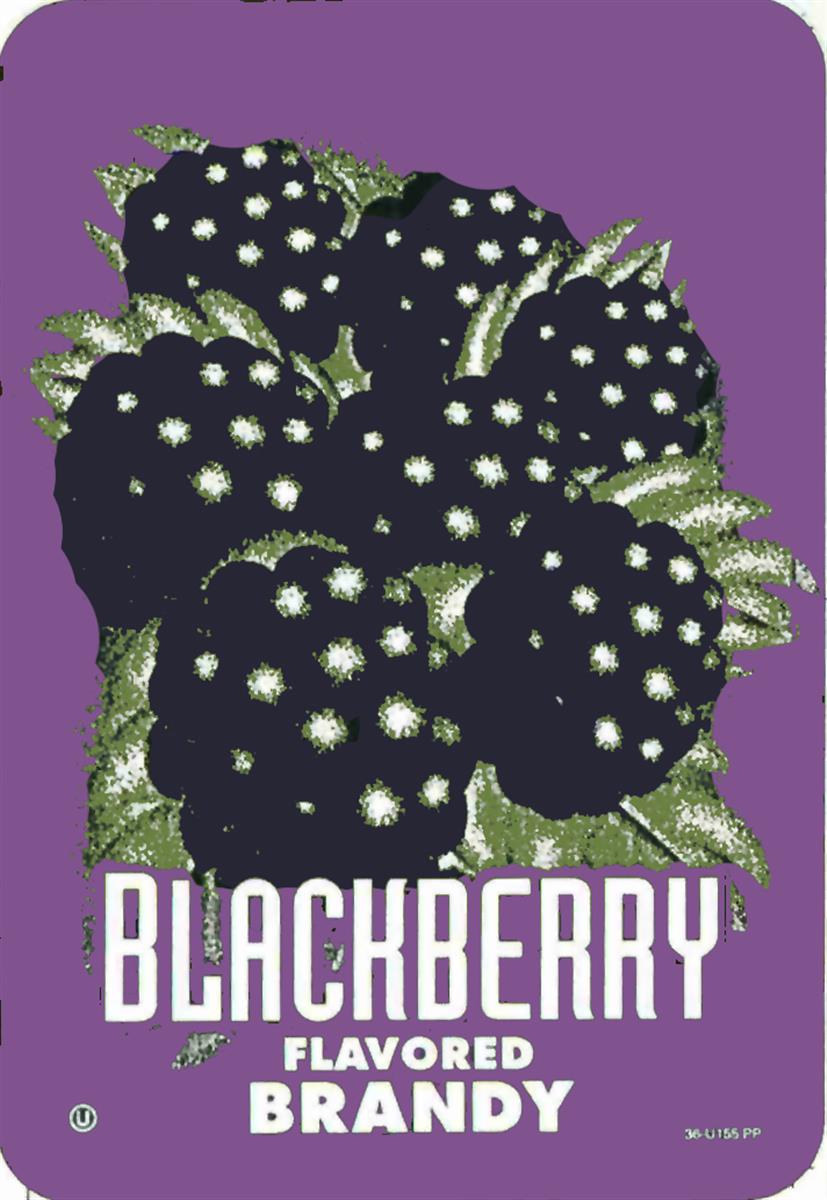 Dekuyper Blackberry Brandy 750ml Haskells