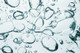 Natural Ceramides and Sensitive Skin: Surprising Ways to Get More ...