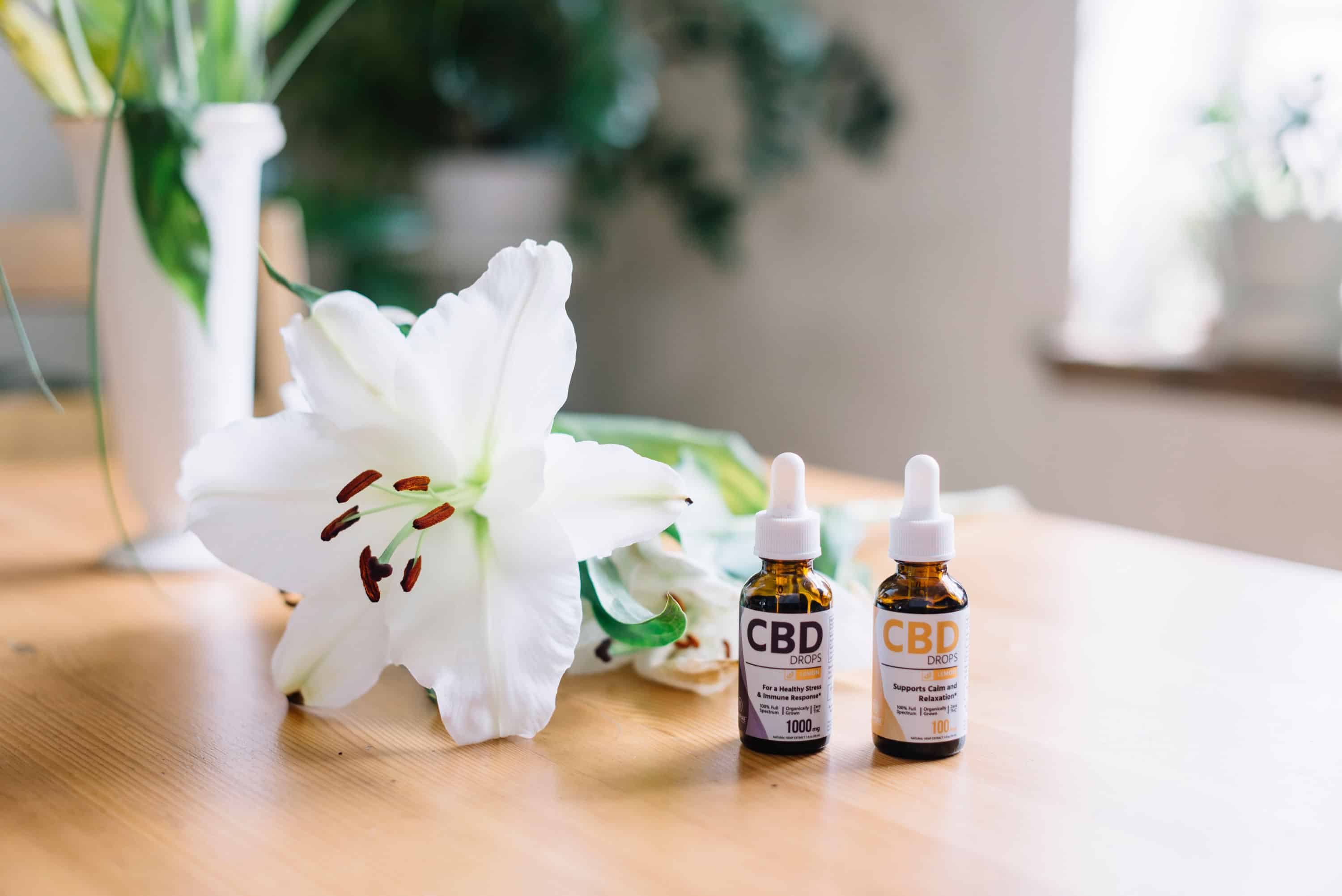Is CBD an Essential Oil? Find Out Now. - Hempure