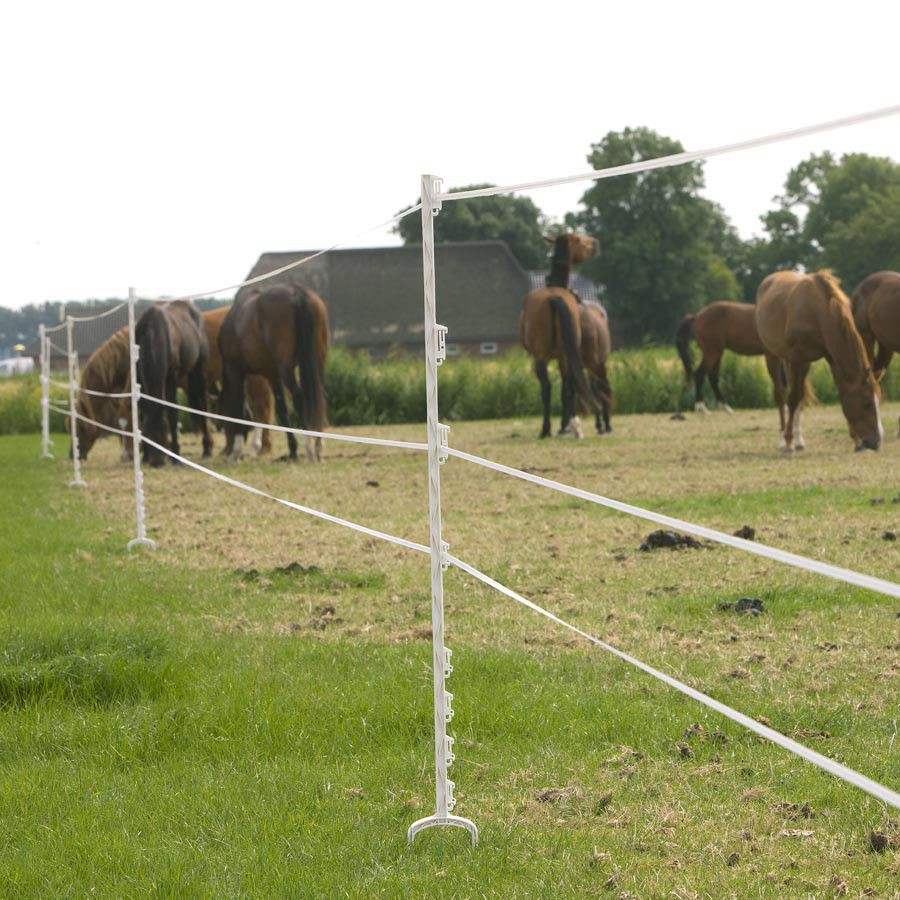 Gallagher Horse Post 1.5M (Box of 10) - Clippers Ireland