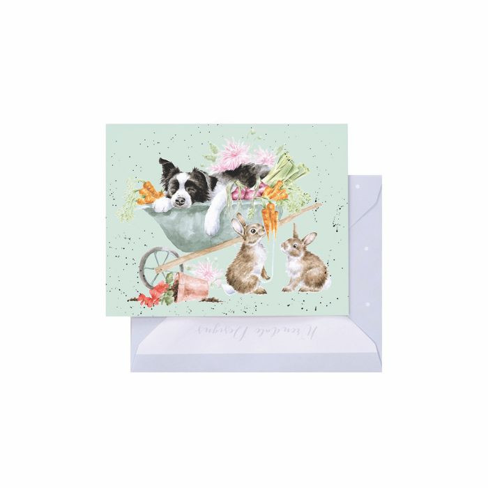 Wrendale Enclosure Card Border Collie - The Queen's Pantry