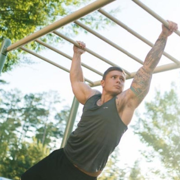 Horizontal Overhead Ladder | NoahsPlay.com