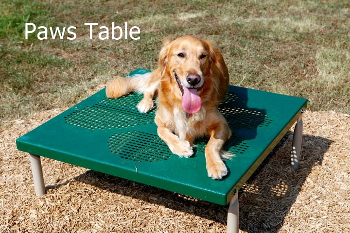 BarkPark™ Dog Park Paws Table | NoahsPlay.com