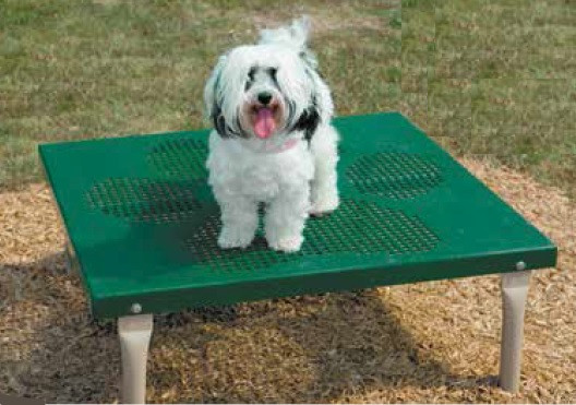 BarkPark™ Dog Park Paws Table | NoahsPlay.com