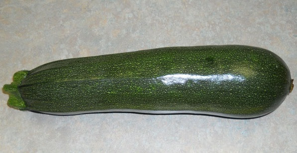 Zucchini Elite Summer Squash Seeds | Holmes Seed Company