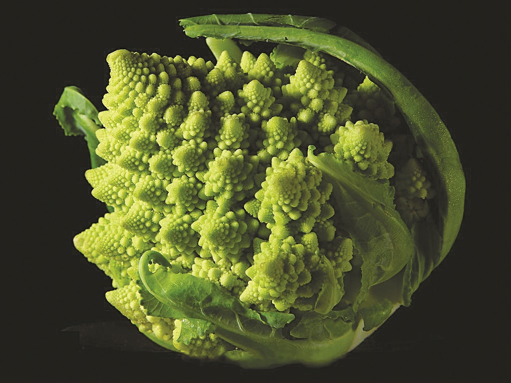 Romanesco Cauliflower - Holmes Seed Company