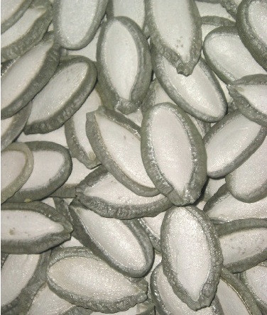Silver Edged - Holmes Seed Company