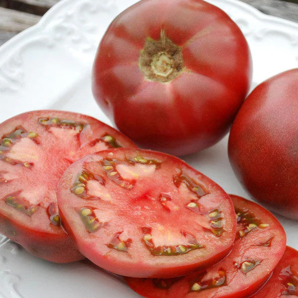 Cherokee Purple Tomato Seeds | Holmes Seed Company