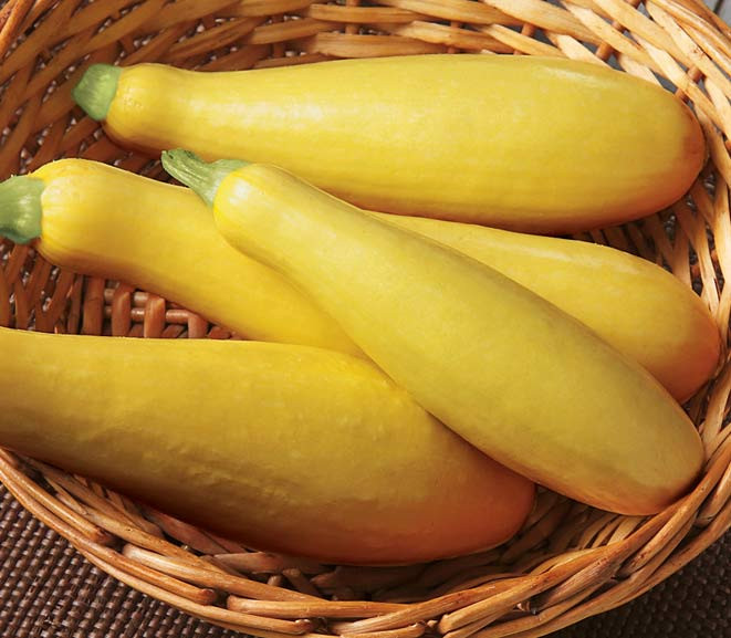 Goldprize Straightneck Squash Seeds | Holmes Seed Company