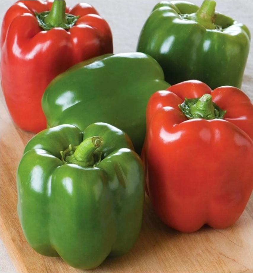 Keystone Resistant Giant Bell Pepper Seeds | Holmes Seed Company