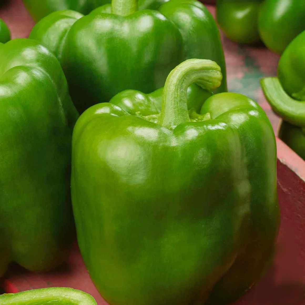 Emerald Giant Bell Pepper Seeds | Holmes Seed Company