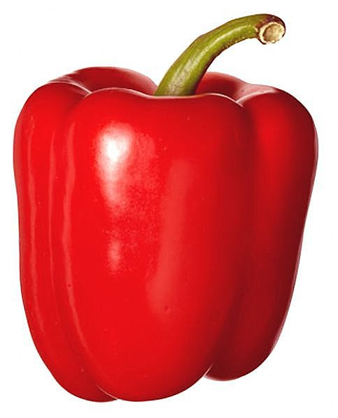 Big Red Bell Pepper Seeds | Holmes Seed Company