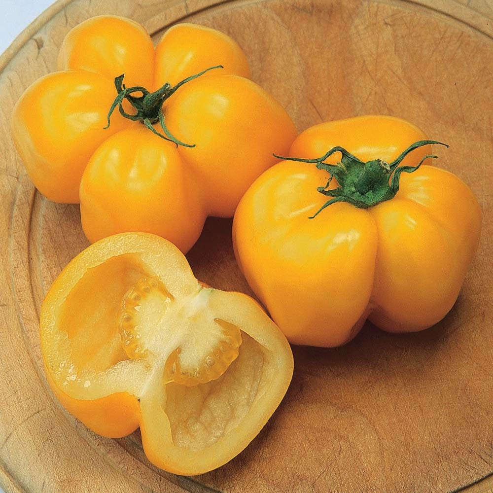 Yellow Stuffer Tomato Seeds | Holmes Seed Company