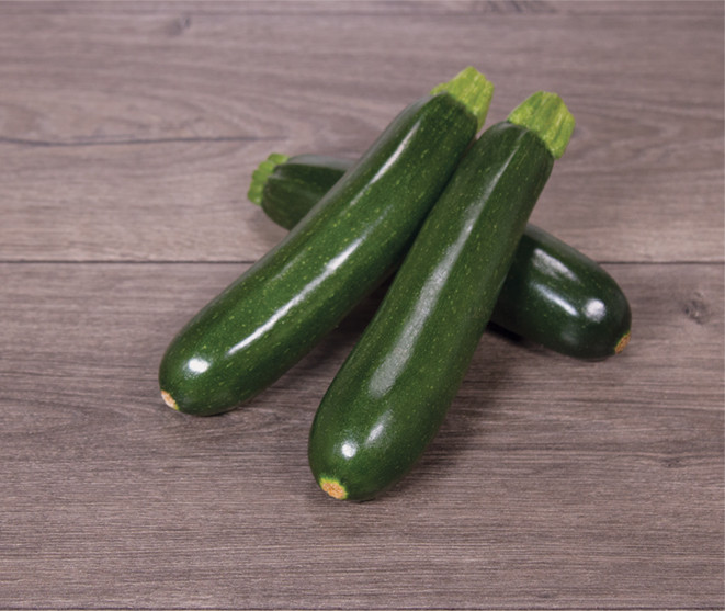 Spineless Supreme Summer Squash Seeds | Holmes Seed Company