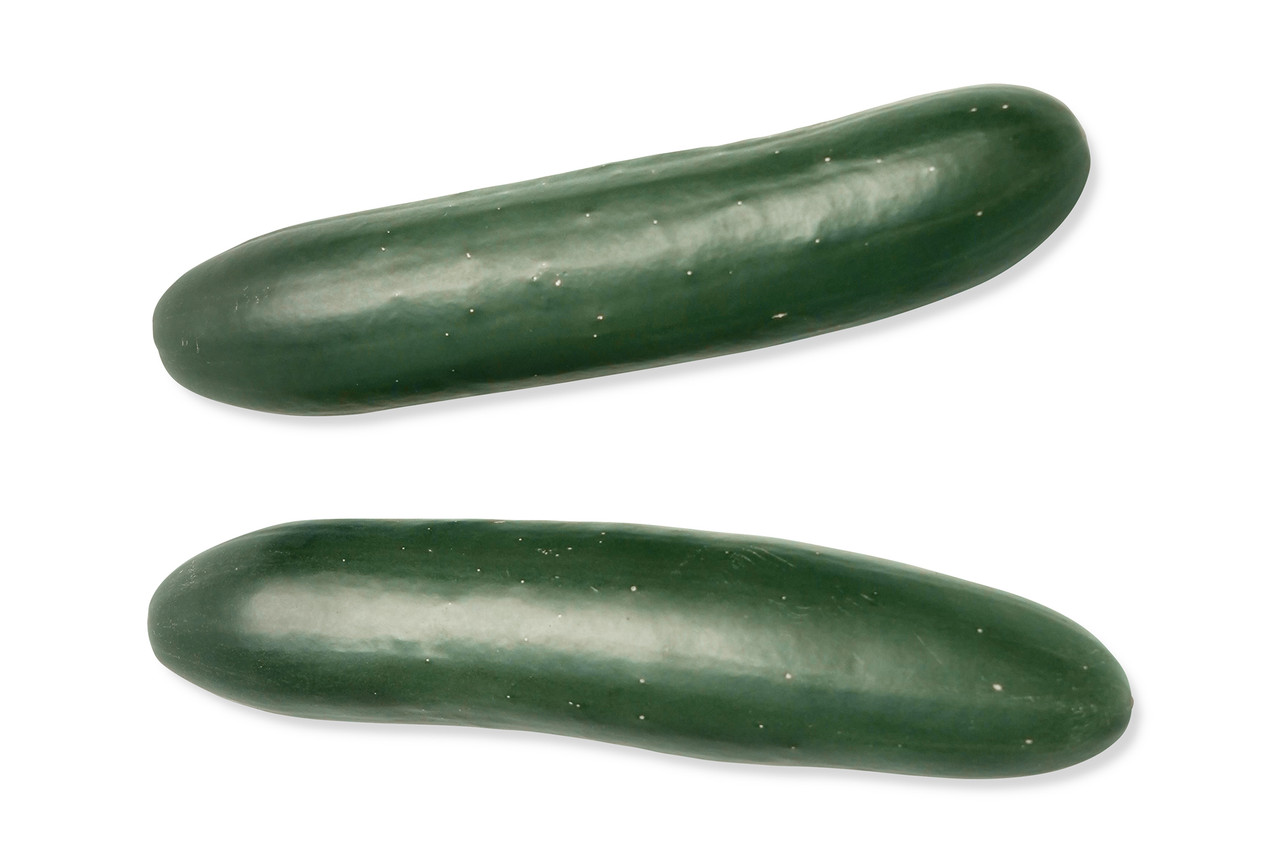 Cobra F1 Cucumber | Holmes Seed Company