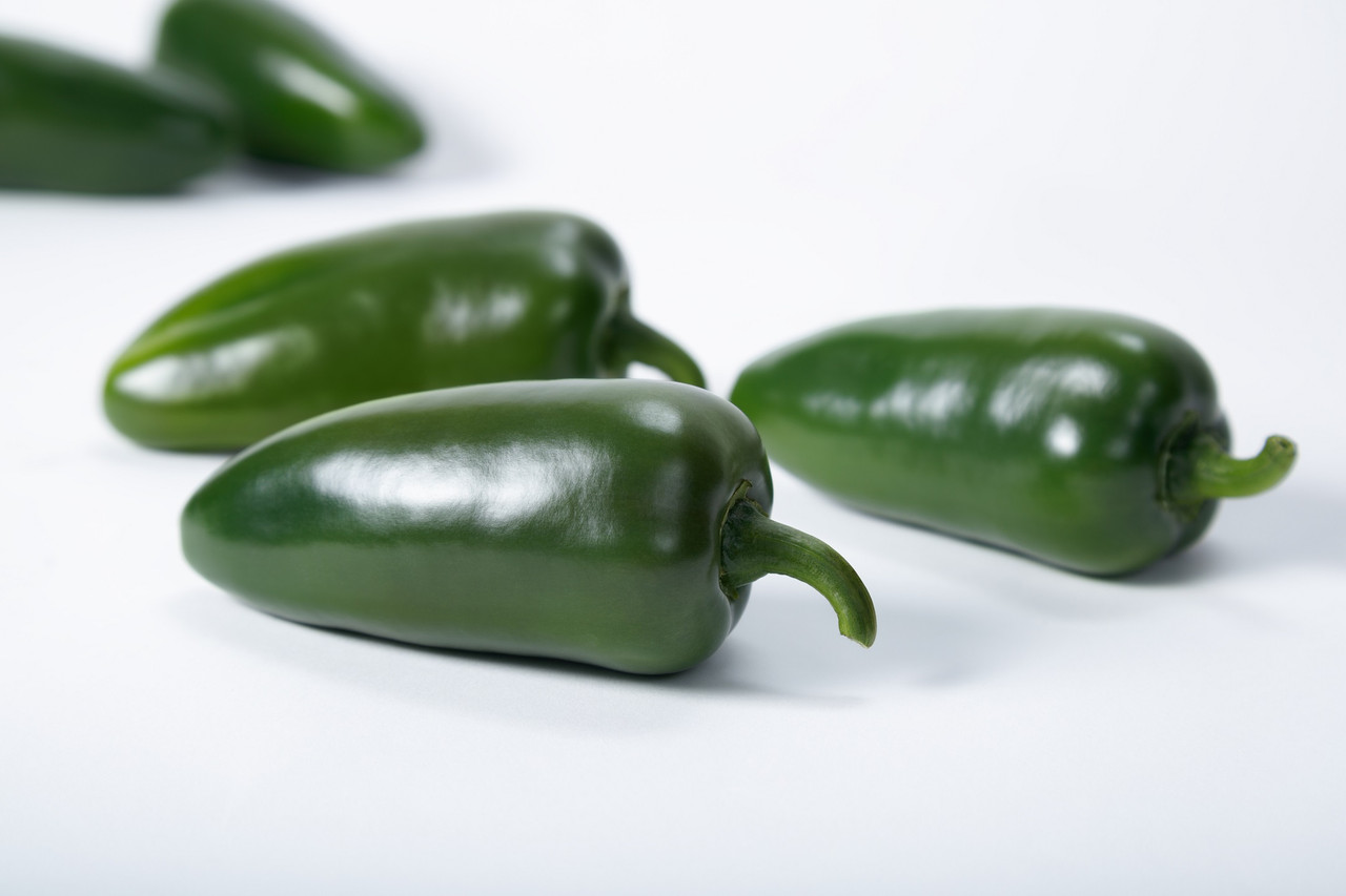 Megatron F1 Jumbo Jalapeño Pepper | Holmes Seed Company