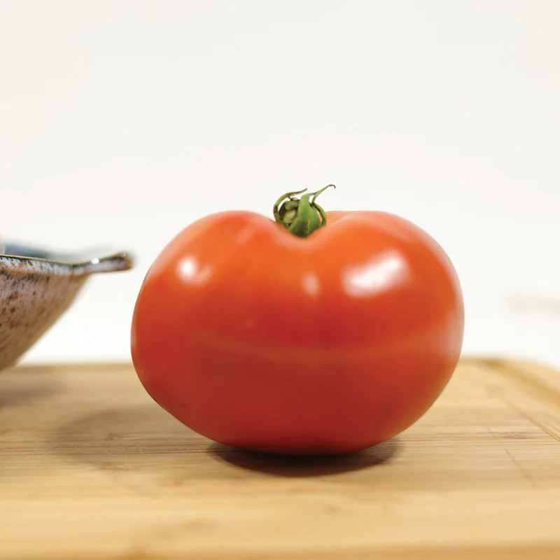 Maverick Tomato Seeds | Holmes Seed Company