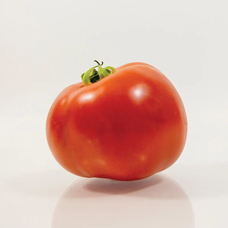 Maverick Tomato Seeds | Holmes Seed Company