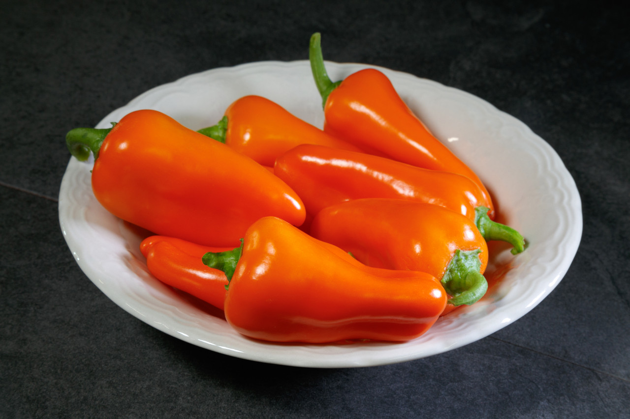 Orange Delite F1 Pepper | Holmes Seed Company