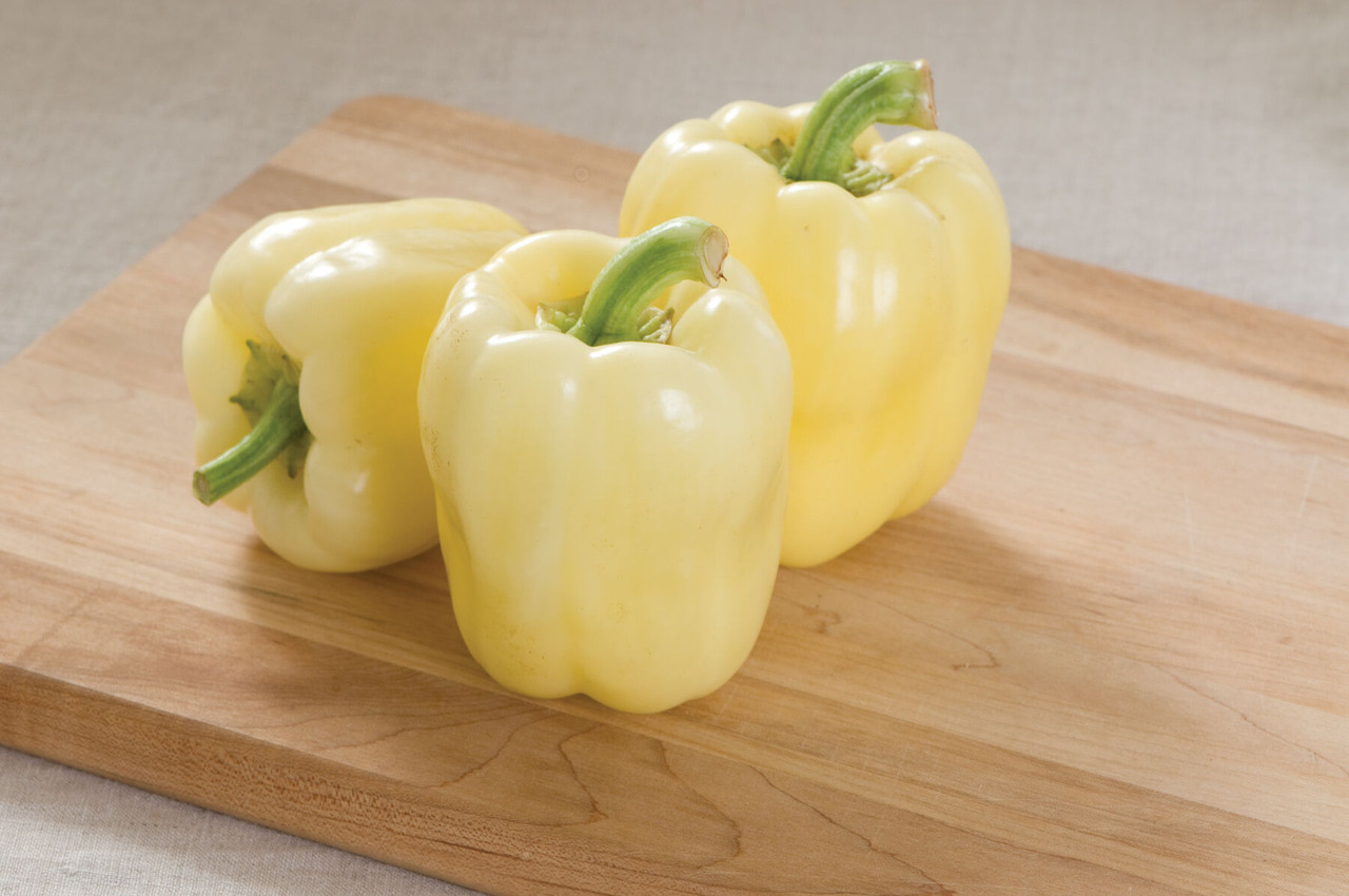 Bianca Bell Pepper Seeds | Holmes Seed Company