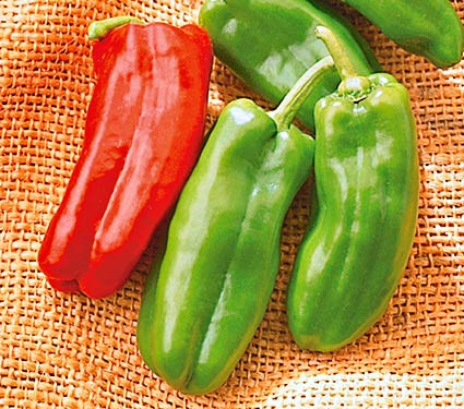 Types Of Italian Sweet Peppers Sweet Delilah (Sweet Italian Roasting